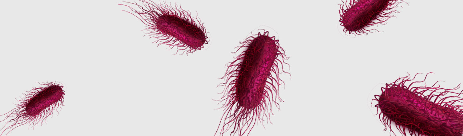 Time-motion analysis: stool culture vs BD MAX™ Enteric Bacterial panel ...