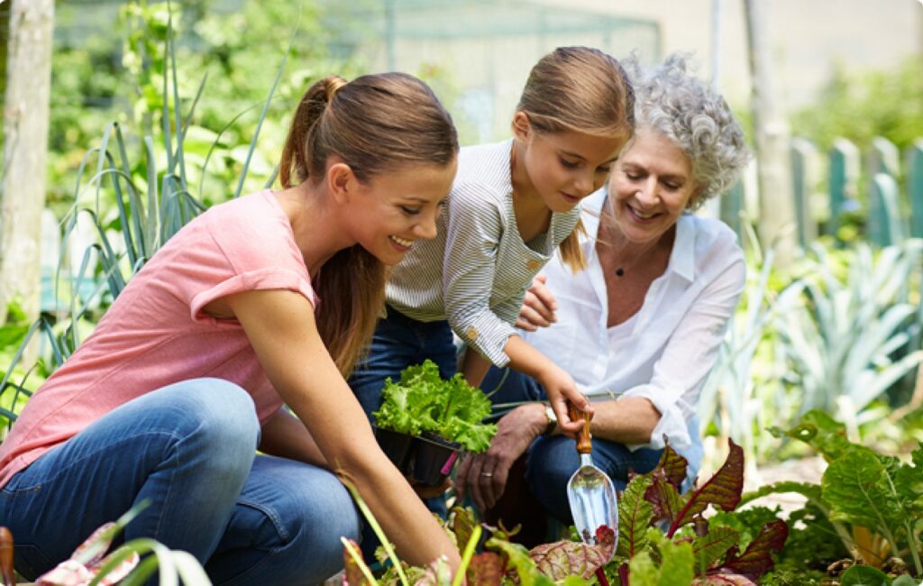 Automated, High-Throughput Molecular Diagnostic Platform BD COR System ...