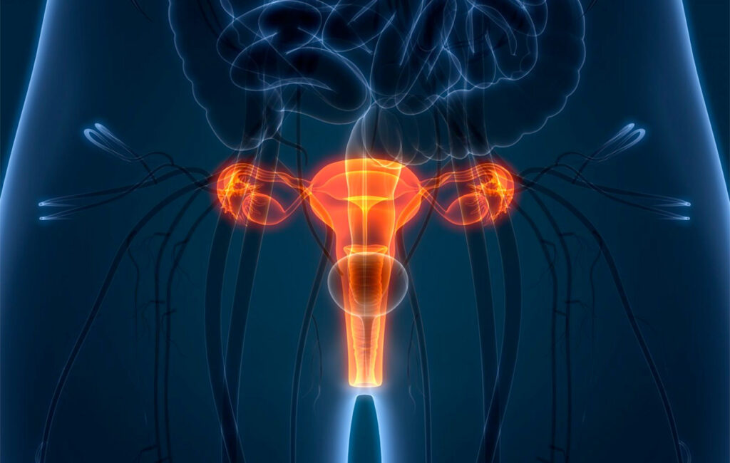 Automated, High-Throughput Molecular Diagnostic Platform BD COR System ...